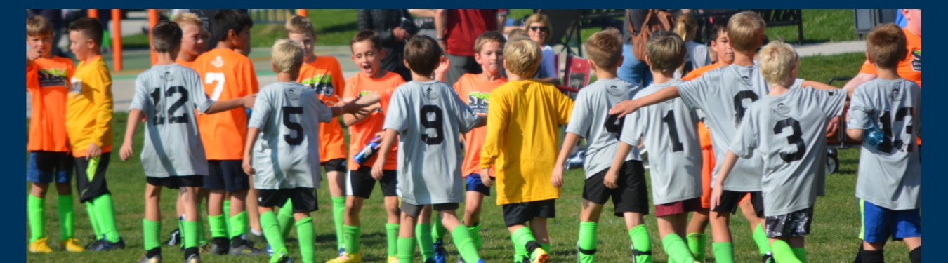 SYSA Soccer Fall Registration OPEN | SYSA